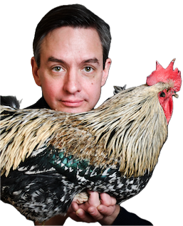 Justin Gregg Ph.D. | Psychology Today South Africa