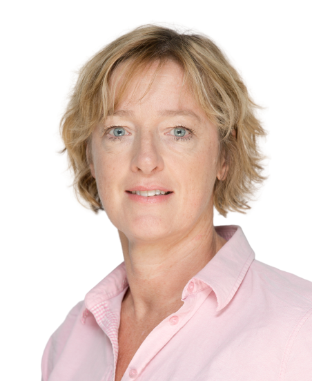 Universidad Online En Espanol Telegra.ph