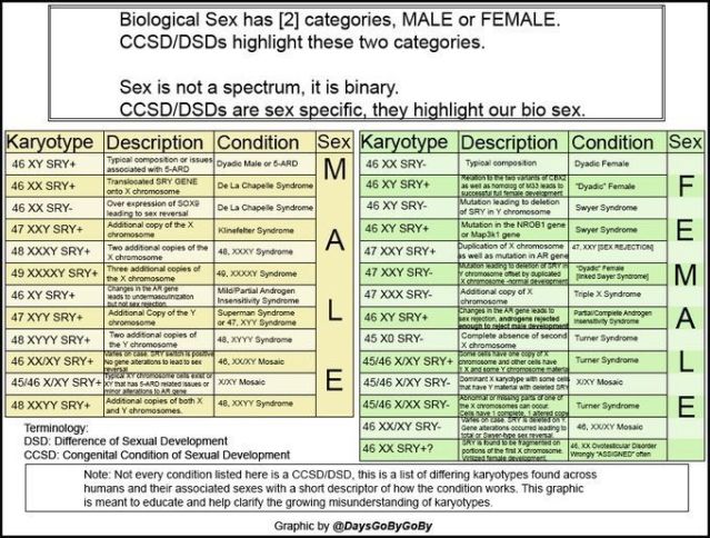 Body and Soul: Why Sex Categories Matter in Combat Sports | Psychology ...