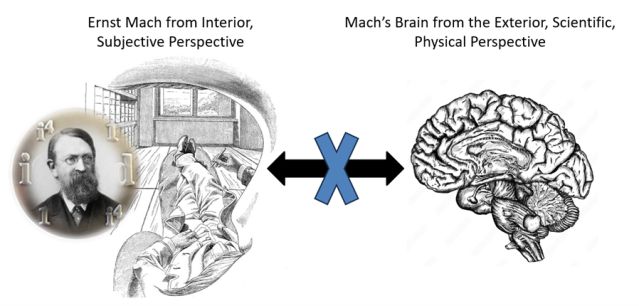 Splitting the Hard Problem of Consciousness in Two | Psychology Today