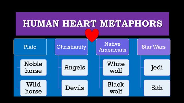 Wild Horses and Human Hearts | Psychology Today