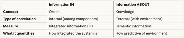 The Hidden Connection Between Information and Consciousness ...