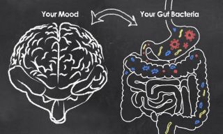 gut microbiota and cognitive function
