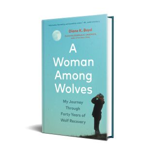 Lessons From 40 Years Among Wolves | Psychology Today