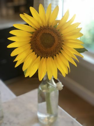 Gratitude: Finding Sweetness in the Bitterness | Psychology Today ...