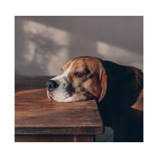 Coping With Unjustified Public Shaming | Psychology Today