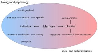Memory and Amnesia | Psychology Today