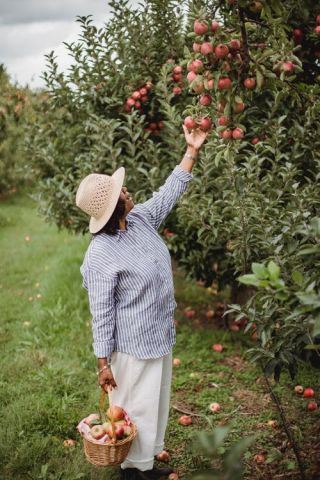Finding Fulfillment After Retiring From Work We Love | Psychology Today