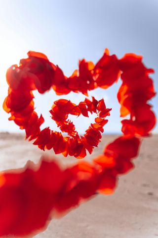 6 Ways to Heal a Broken Heart | Psychology Today