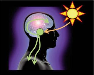 The Benefits of Sunlight | Psychology Today