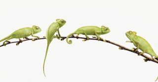 The Myth of Belonging | Psychology Today