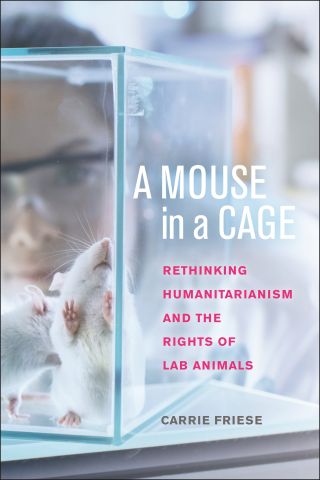 mice research lab