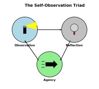 Untangling Self-Observation From Self-Reflection | Psychology Today