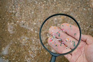 How Much Should We Really Worry About Microplastics? | Psychology Today ...