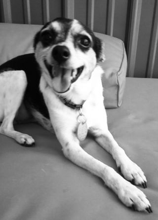 A Simple Daily Practice of Happiness | Psychology Today