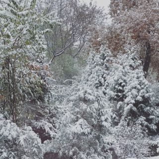 Fatigue: A Frustrating Symptom of Chronic Illness | Psychology Today