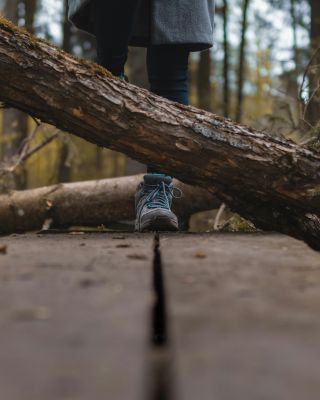 Three Ways the Obstacle Becomes the Way | Psychology Today Canada