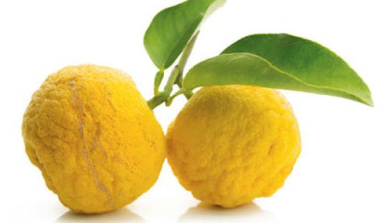 Keen Cuisine: Fruit of the Future | Psychology Today