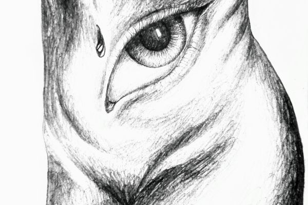 Julia Englund Strait Ph.D. | Psychology Today