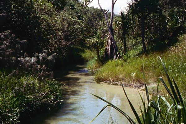 Armin Zadeh, MD, Ph.D. | Psychology Today South Africa