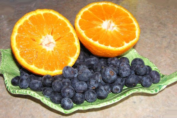 Temma Ehrenfeld | Psychology Today United Kingdom