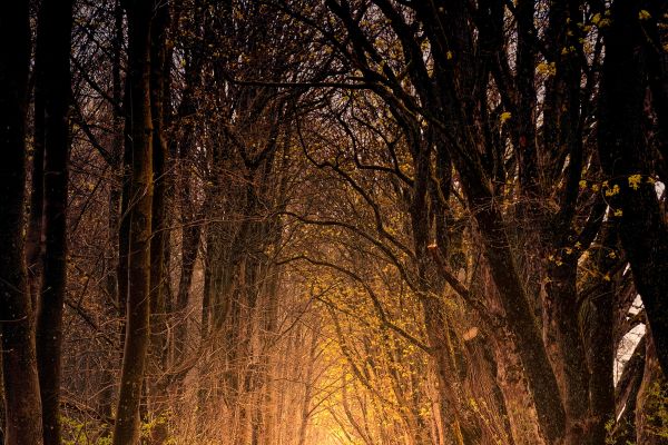 Ilene Berns-Zare PsyD | Psychology Today