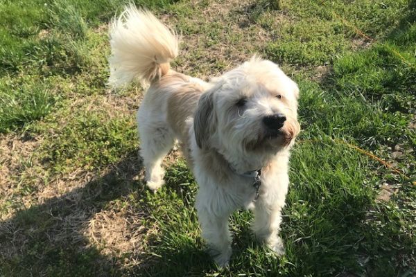 Gregg Henriques Ph.D. | Psychology Today United Kingdom