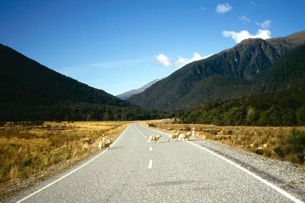 Armin Zadeh, MD, Ph.D. | Psychology Today South Africa