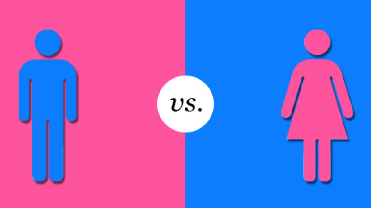 masculinity femininity dimension