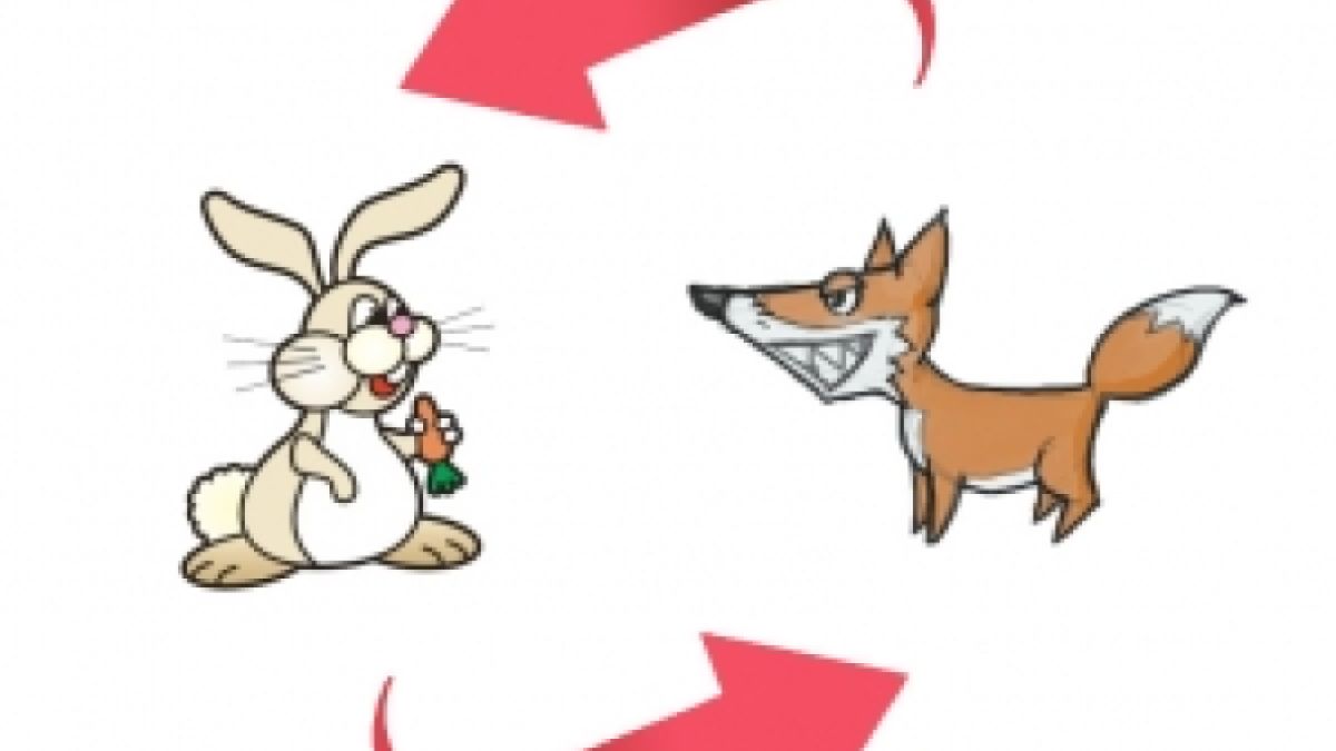 fox and rabbit