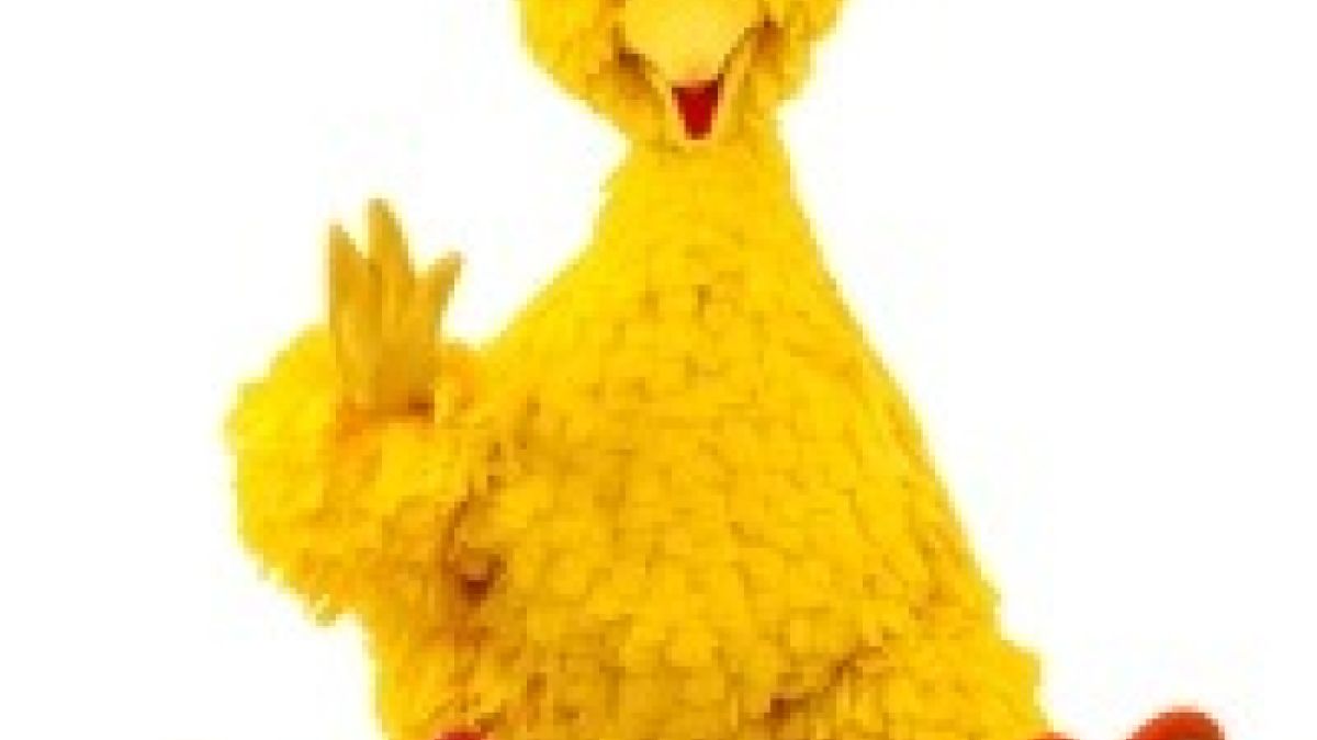 big bird description