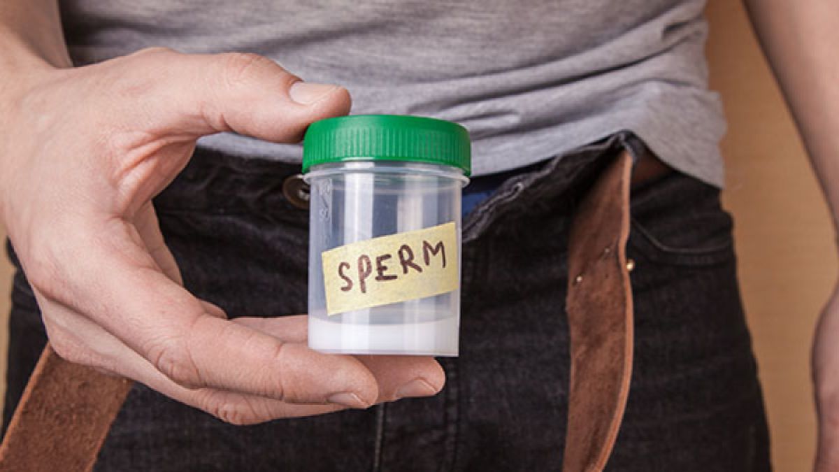 sperm donation guidelines