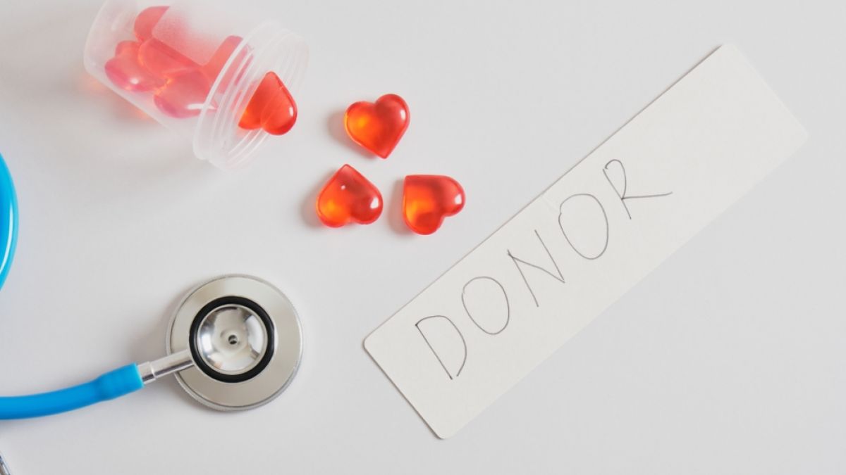 sperm donor selection process