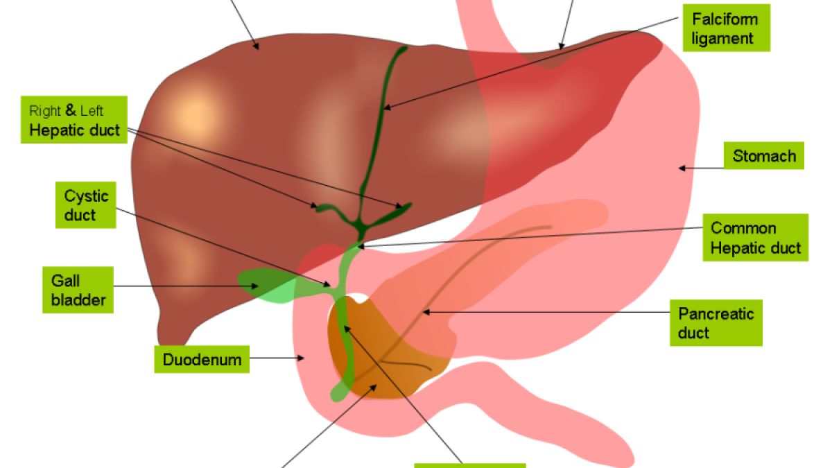 how to make coffee enema at home