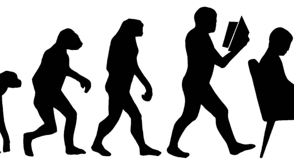 misconceptions about evolutionary psychology