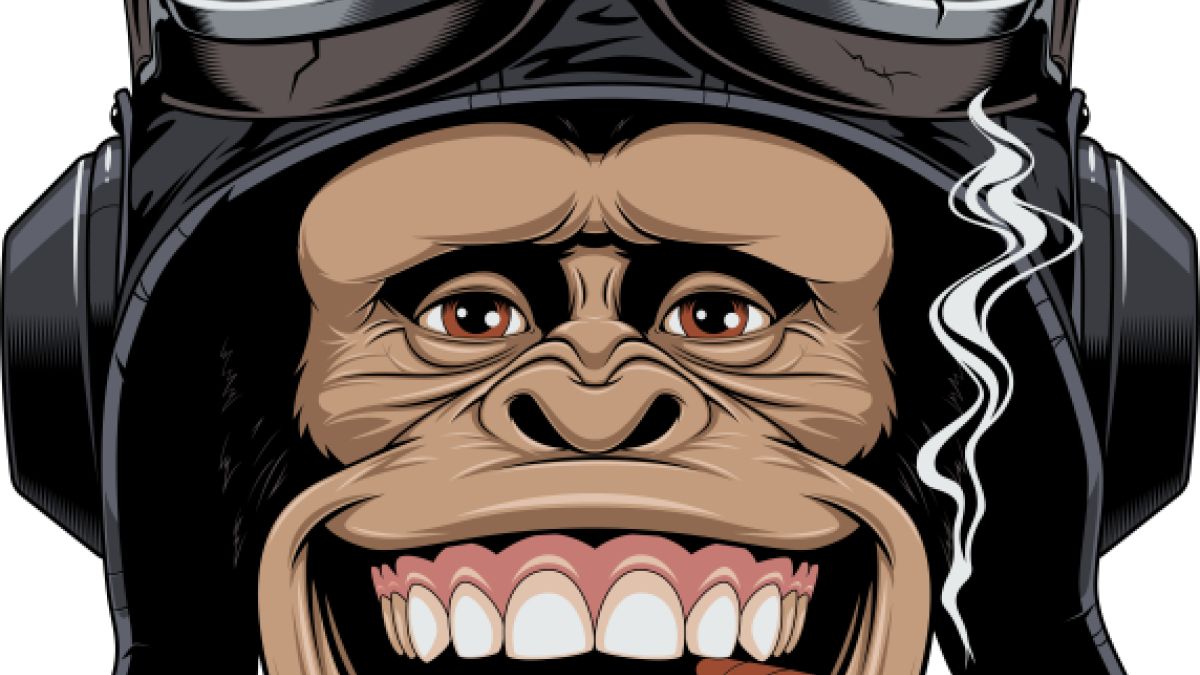 flying monkey enabler