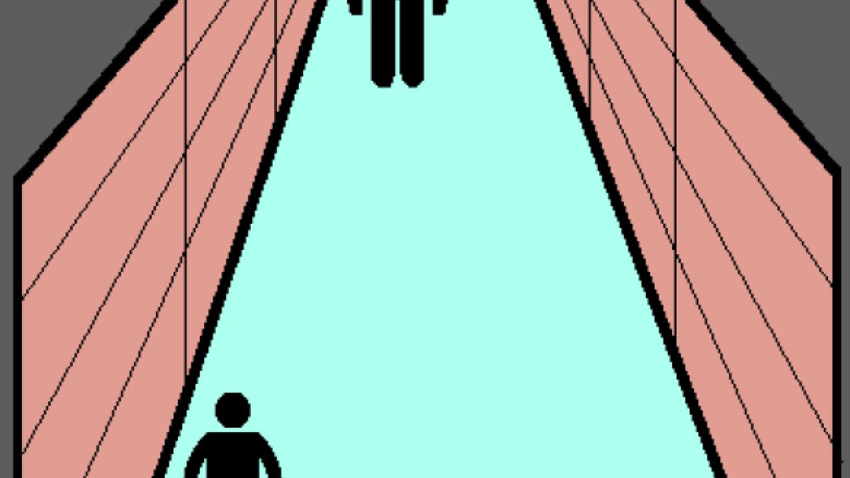 optical illusions size perception