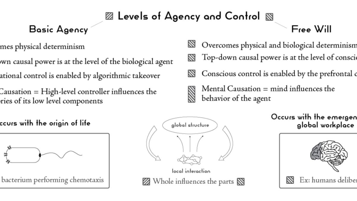 causality determinism and physics