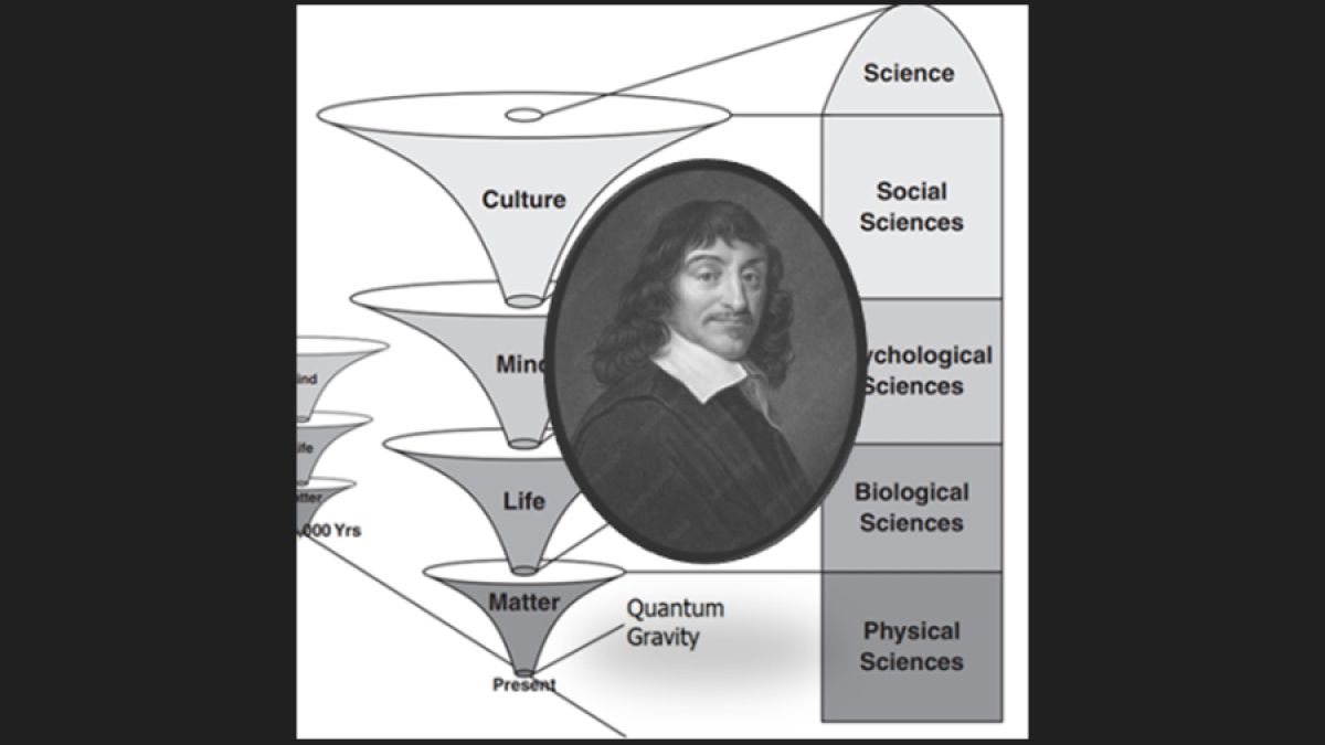 what tree represents knowledge