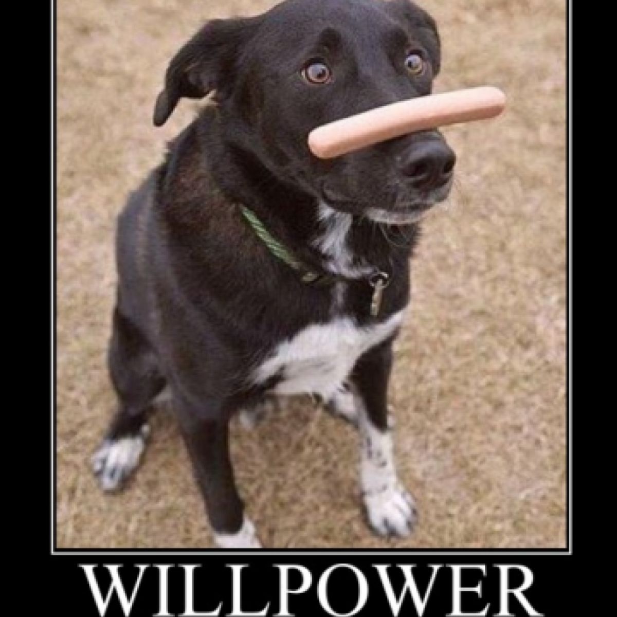 willpower jokes