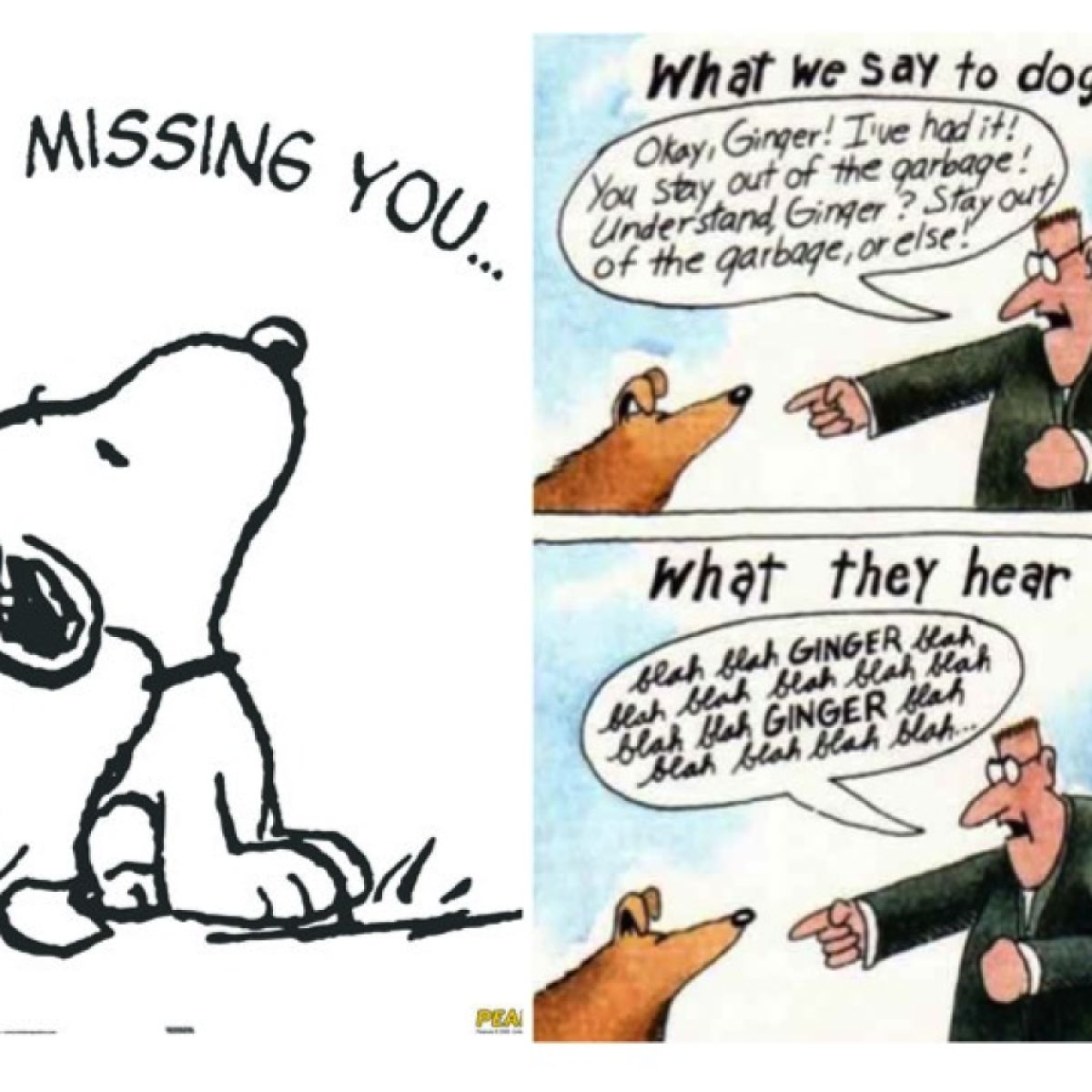 missin' and missing difference