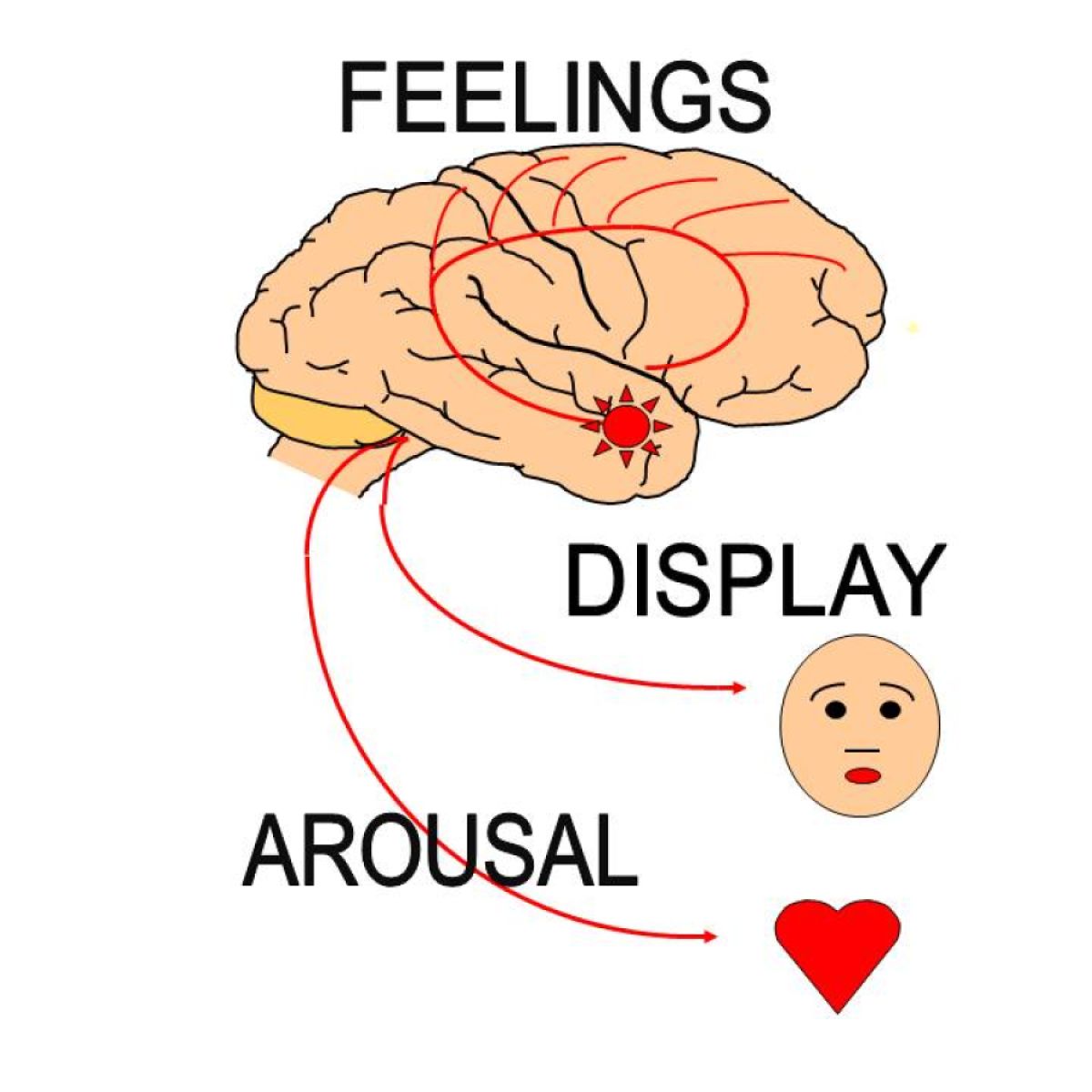 human emotional development