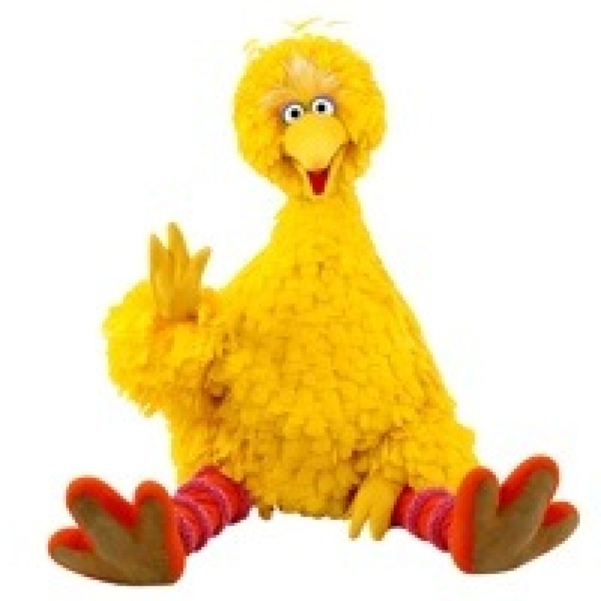 how does big bird work