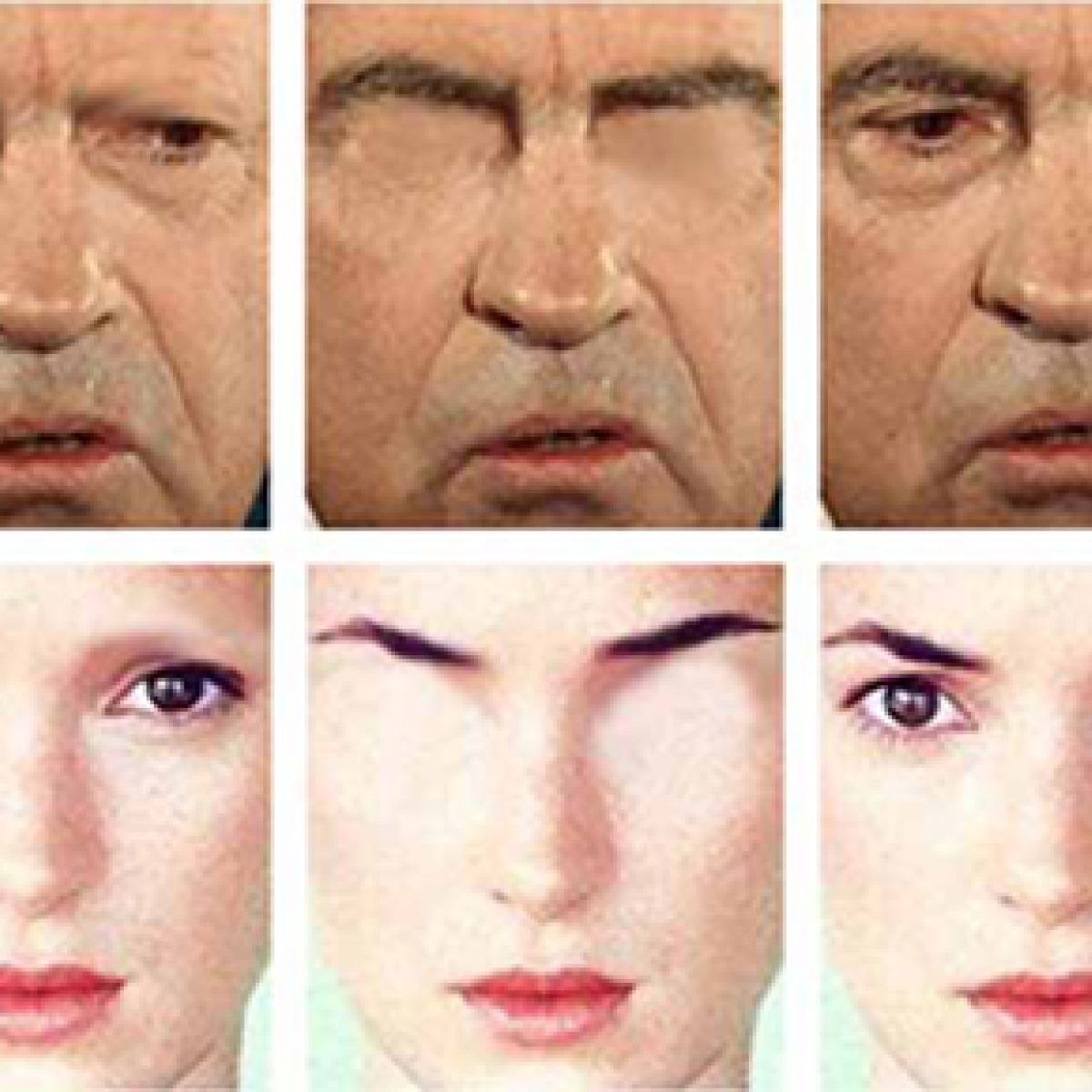 why do humans need eyebrows