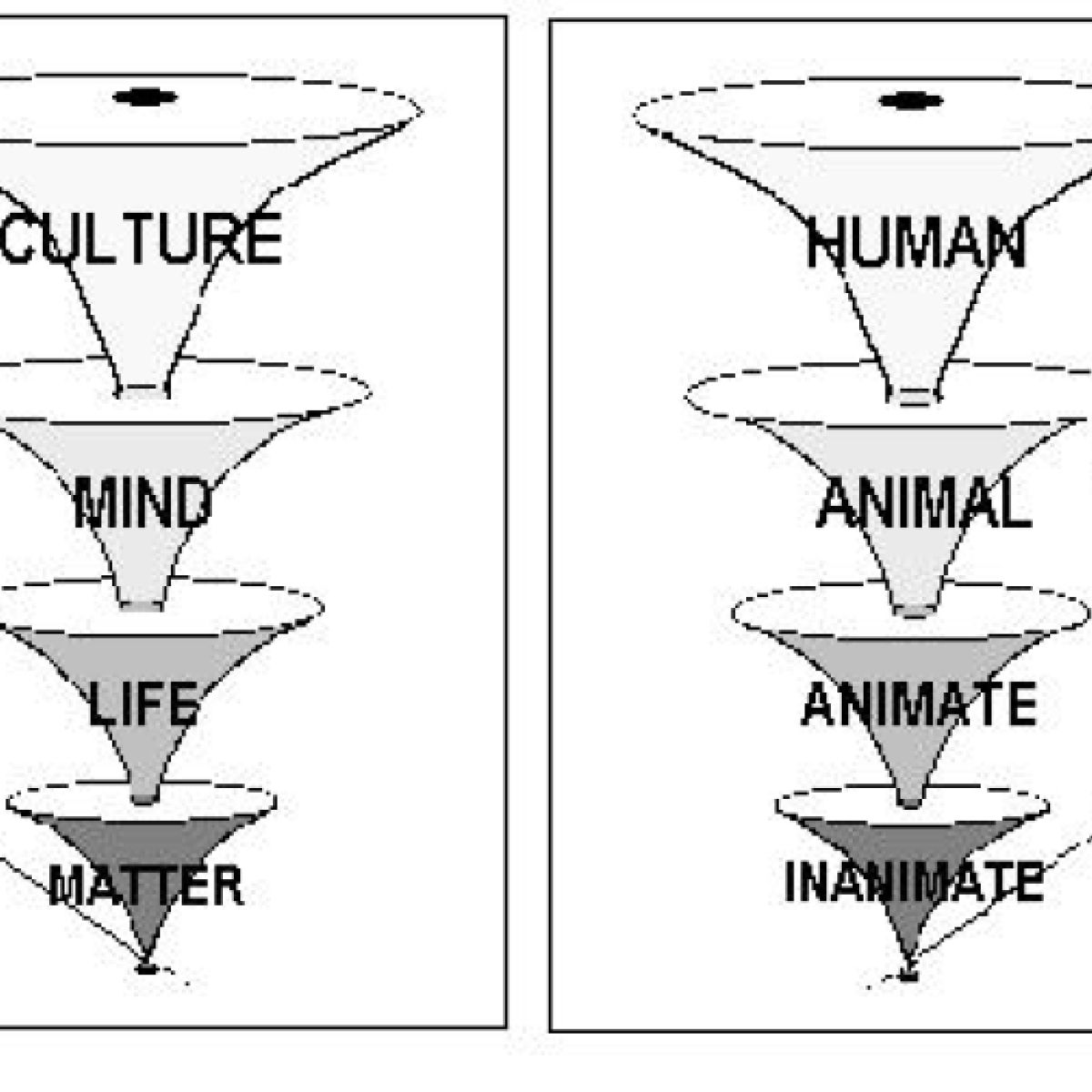exceptionalism theory