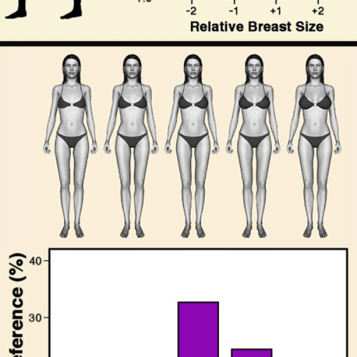 normal difference in breast size