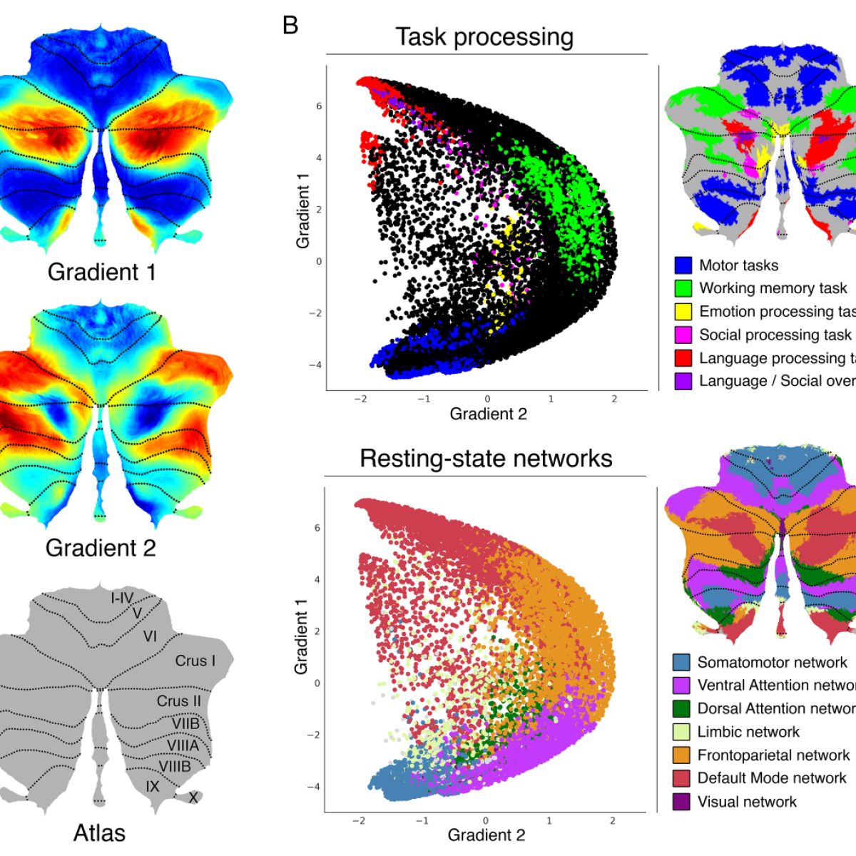cerebellum function tests