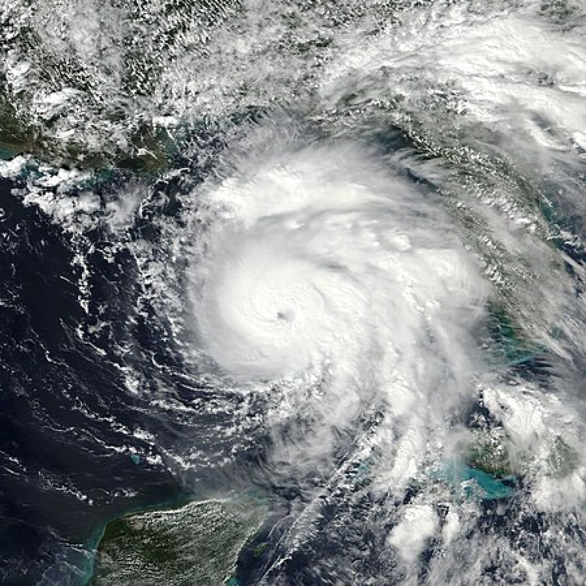 michael storm trading