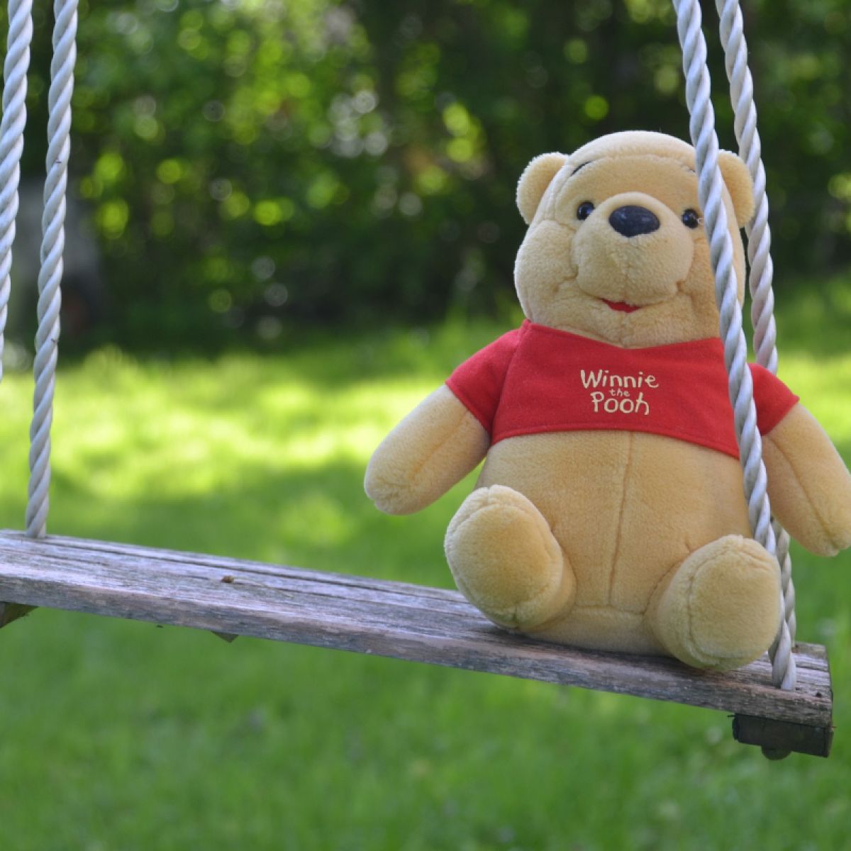 psychological disorders winnie the pooh