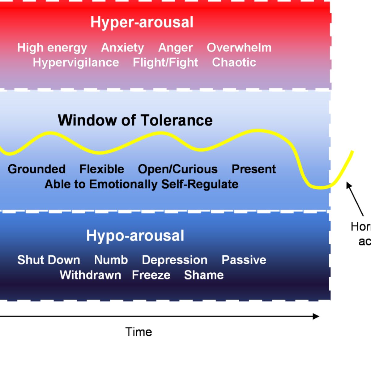 sympathetic hyperarousal